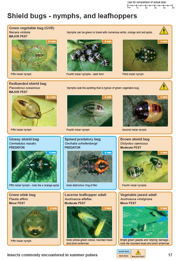 Insect Identification Chart Insects Of The British Isles