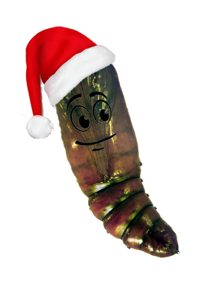 Merry Chrysalis | The Beatsheet