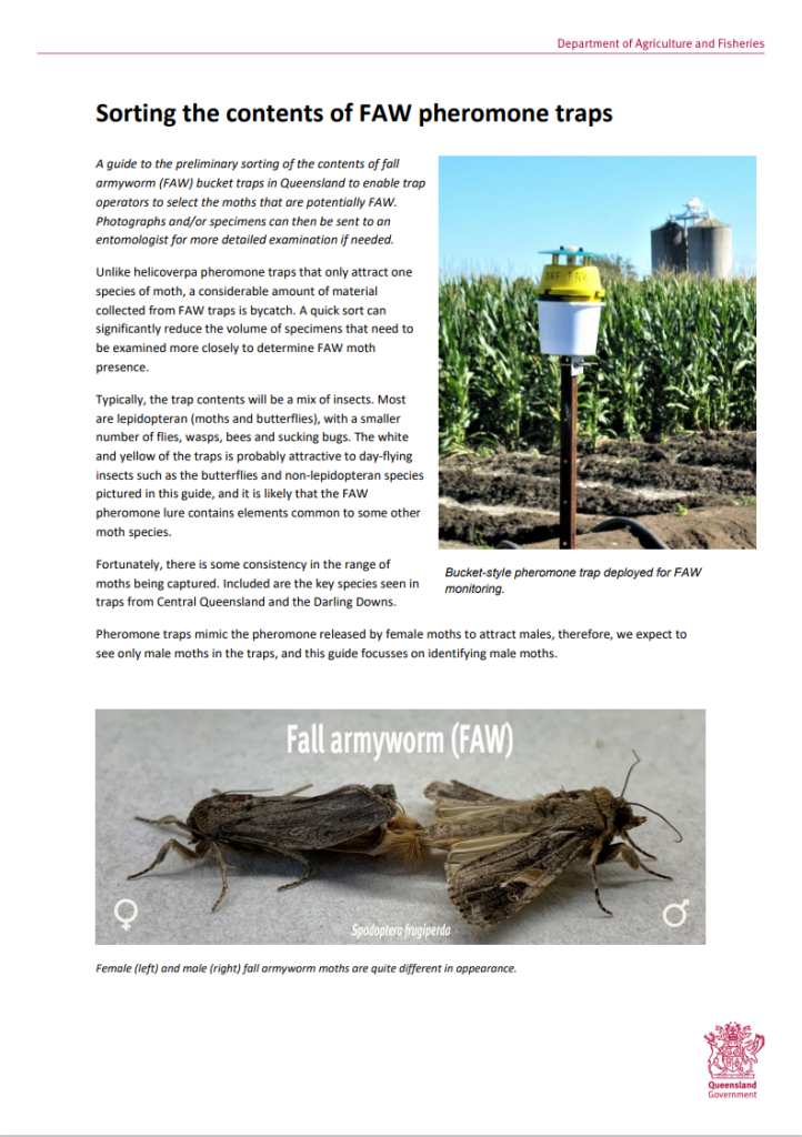 Entomology publications and factsheets | The Beatsheet