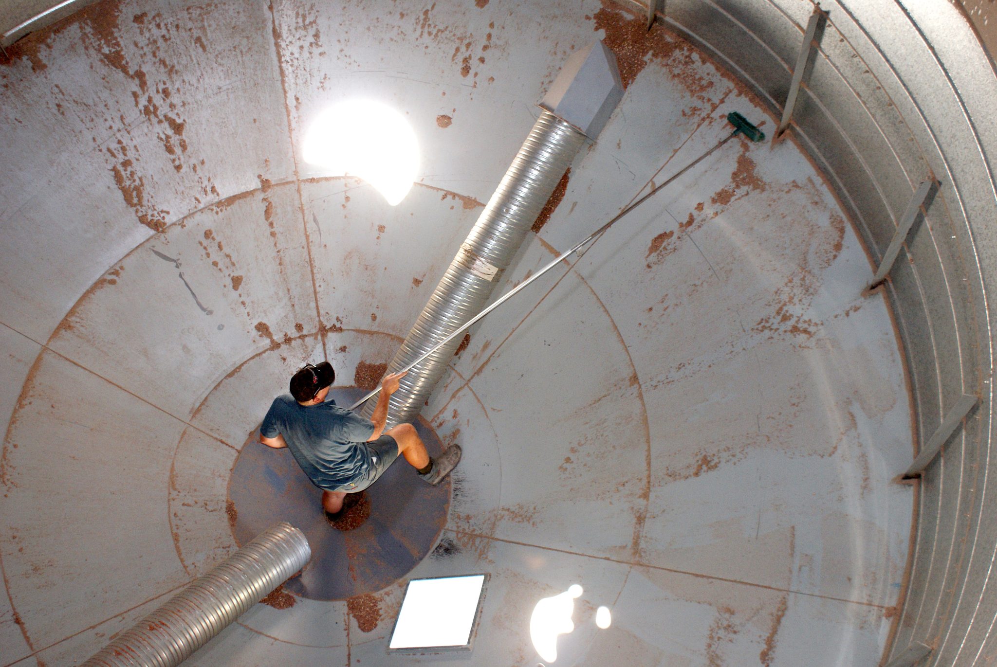 Grain storage pre-harvest health check | The Beatsheet